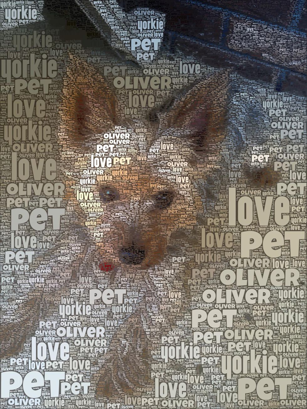 How to use wordfoto - B+C Guides