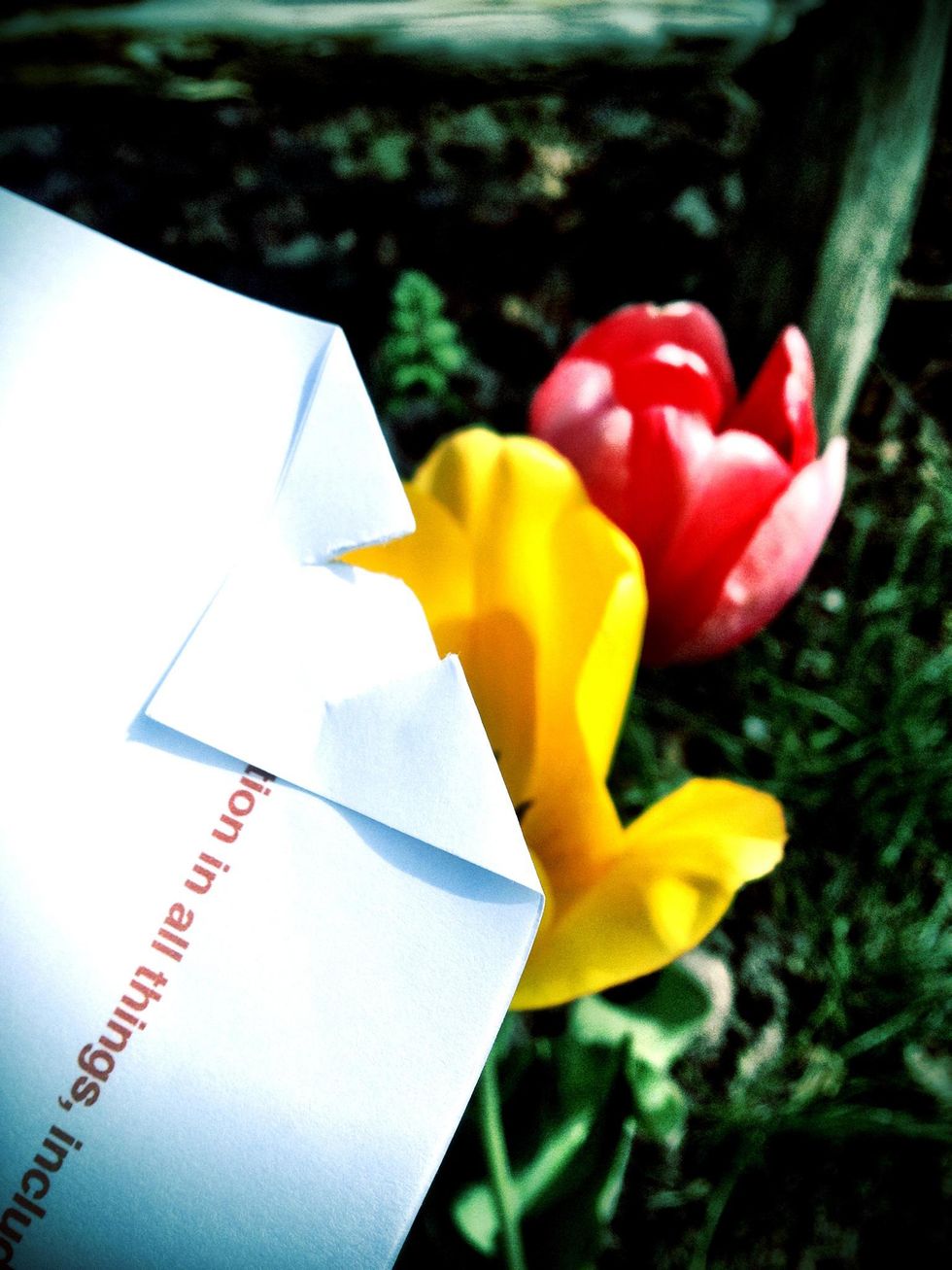 How to make a handmade staple - B+C Guides