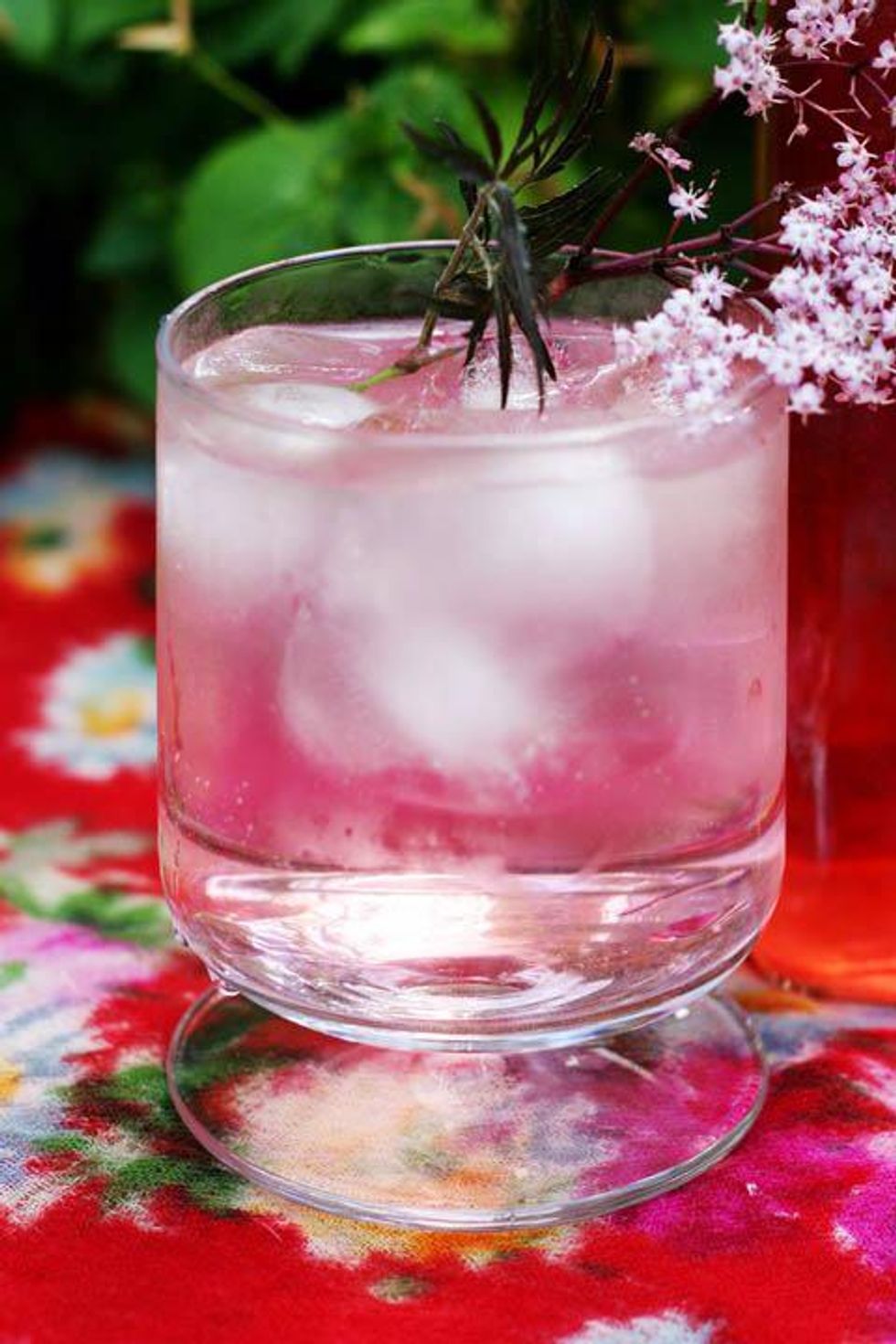 How to make pink elderflower cordial - B+C Guides