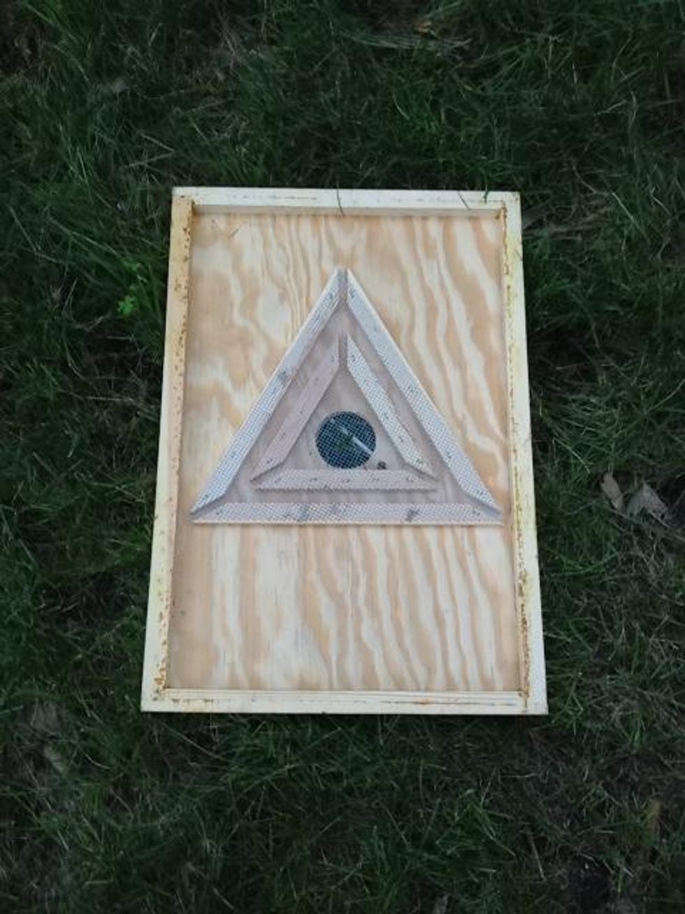 How to use a bee escape board - B+C Guides