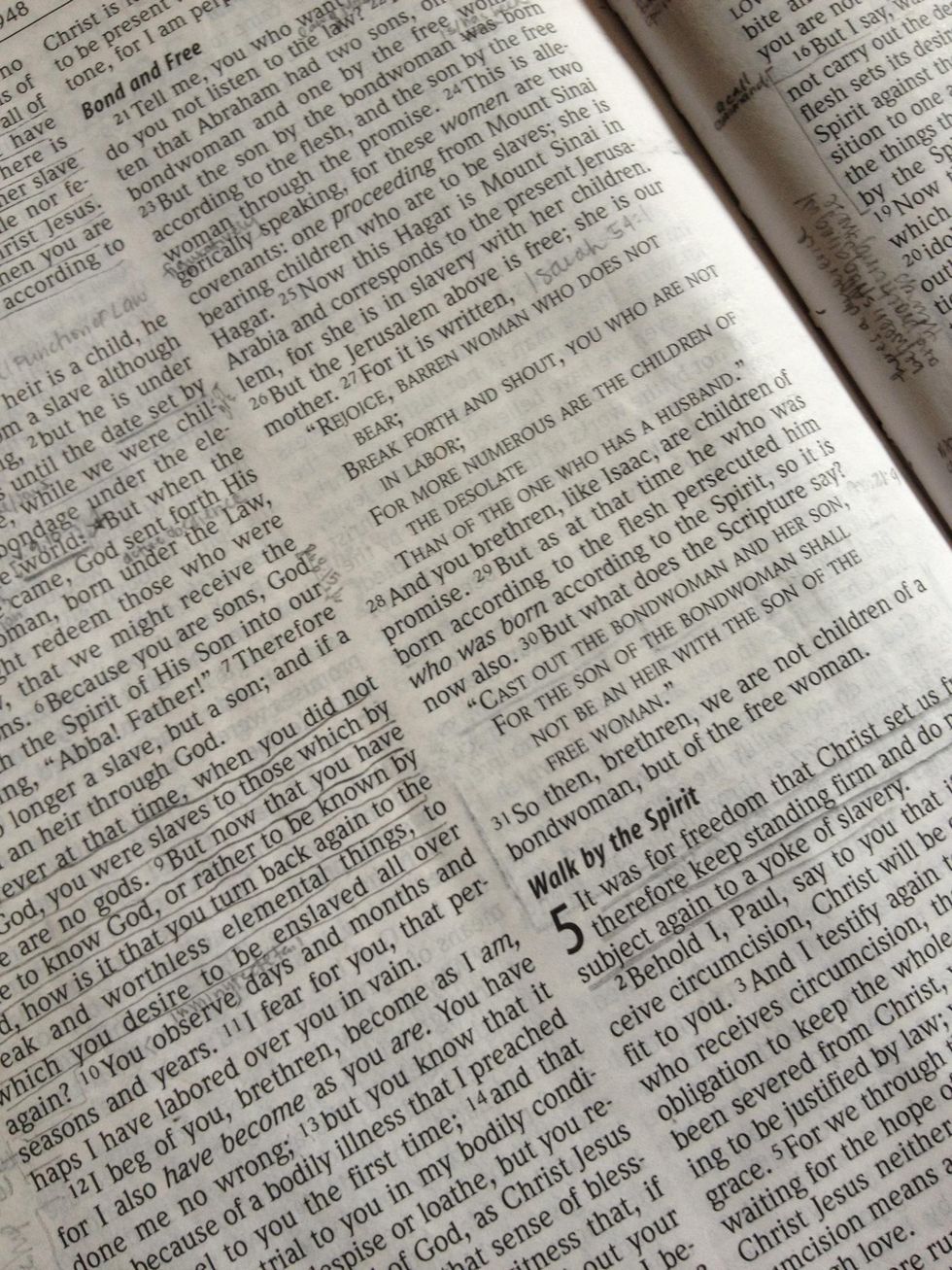 How to study the bible using the homiletics method - B+C Guides