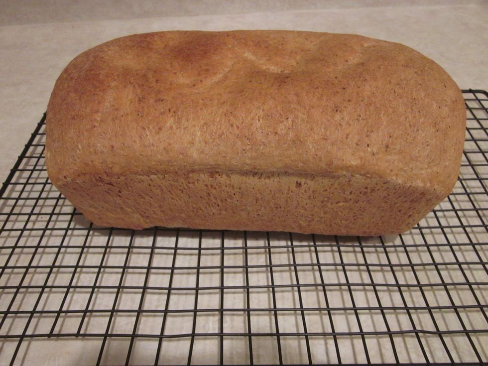 How to bake sandwich style wheat bread like a champ - B+C Guides