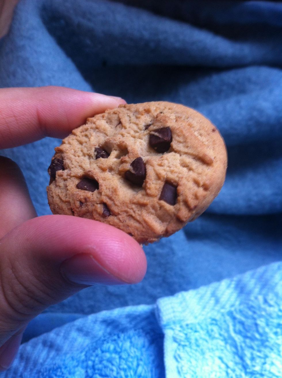 How to eat a cookie - B+C Guides