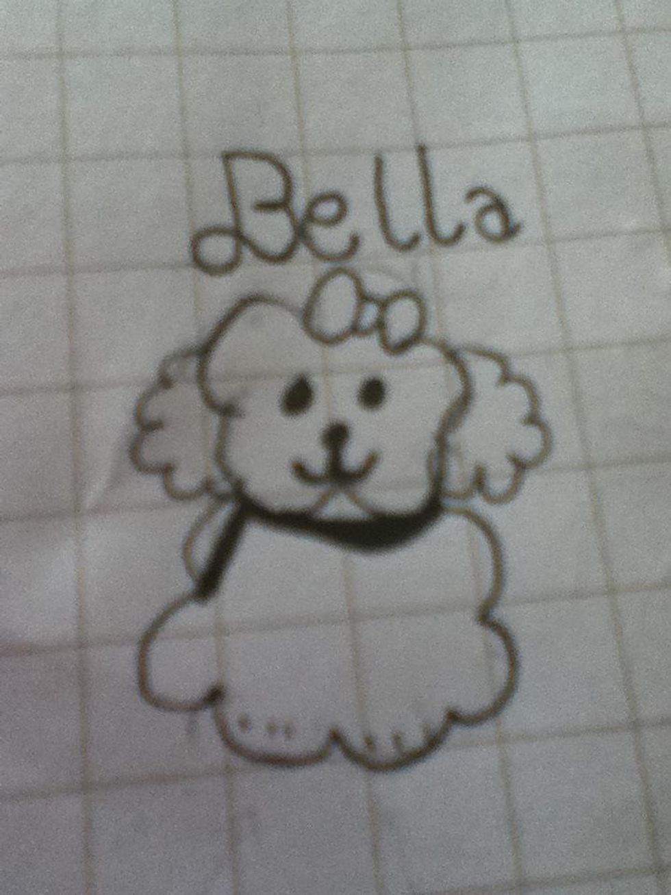 How to draw a fluffy dog - B+C Guides