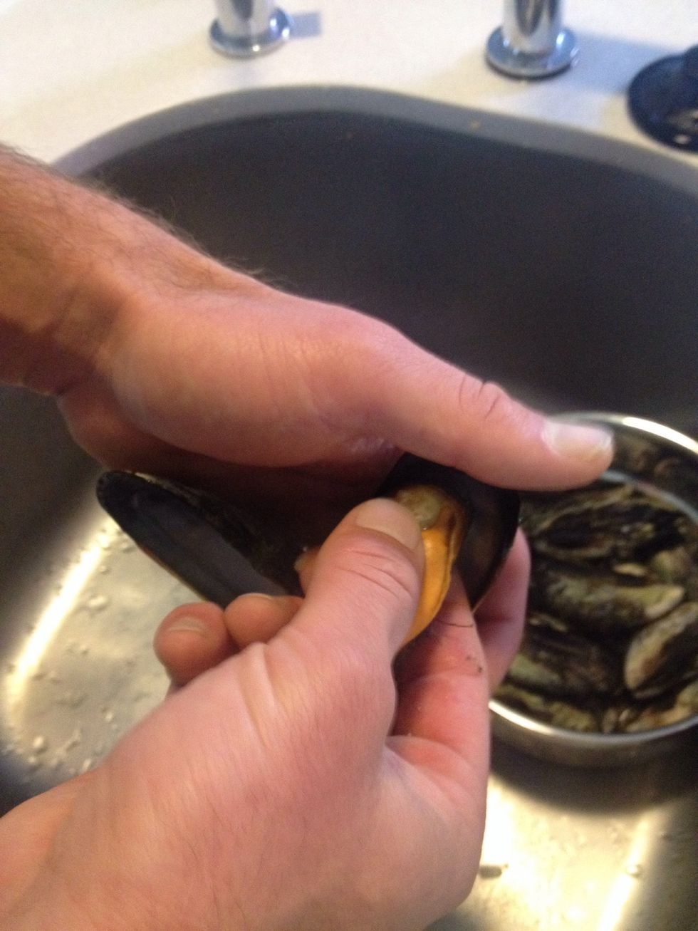 How to prepare and cook wild mussels - B+C Guides