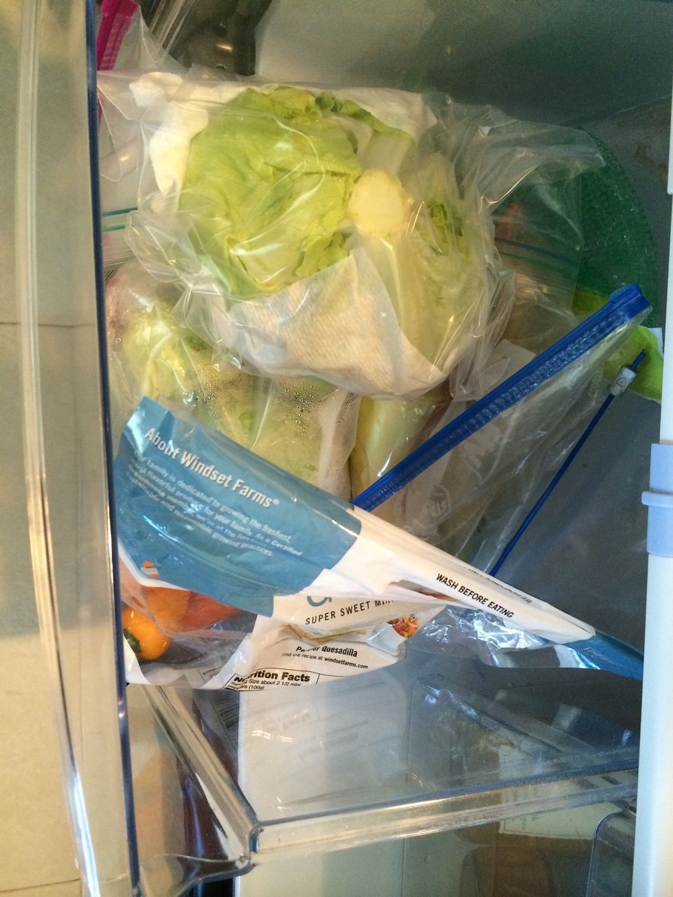 How to store lettuce - B+C Guides