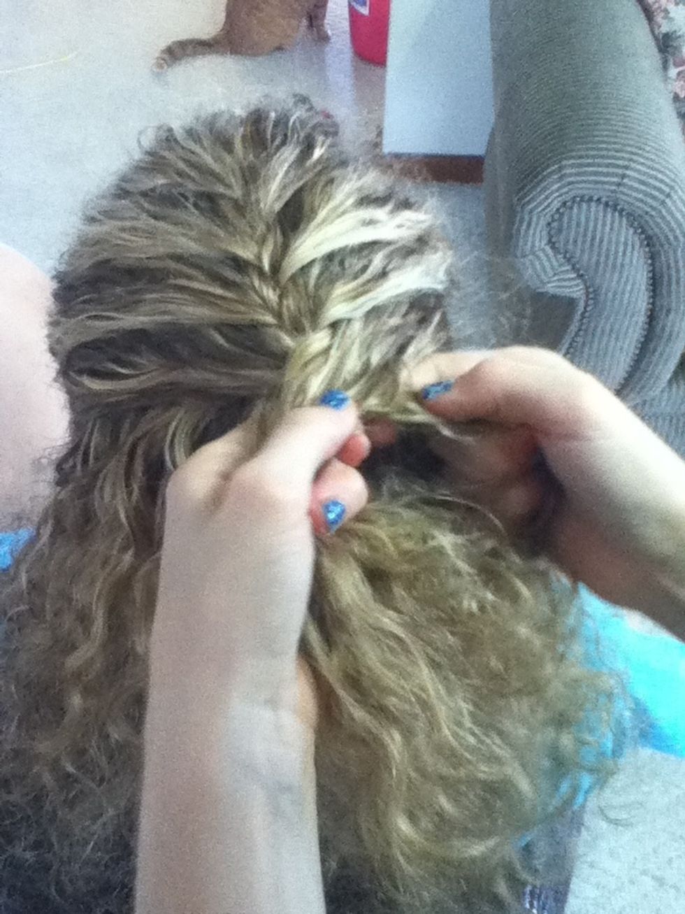 How To French Braid Curly Hair Bc Guides