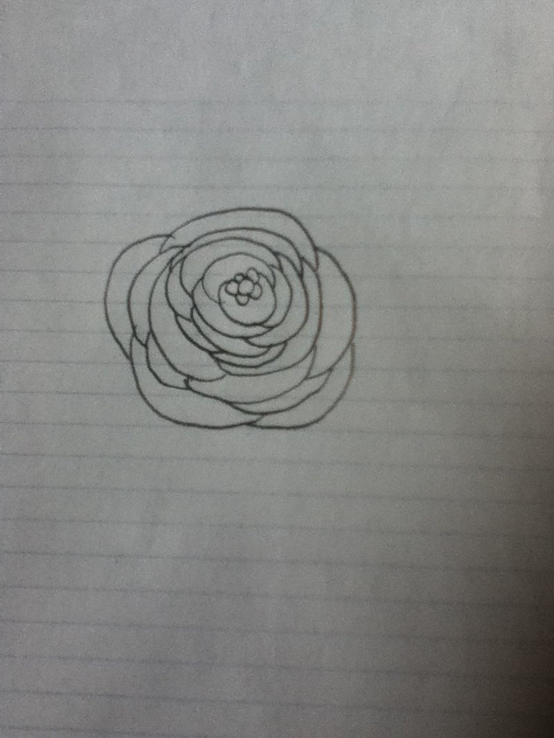 Open Rose Sketch Sketch A Simple Rose: Art And Process Explained