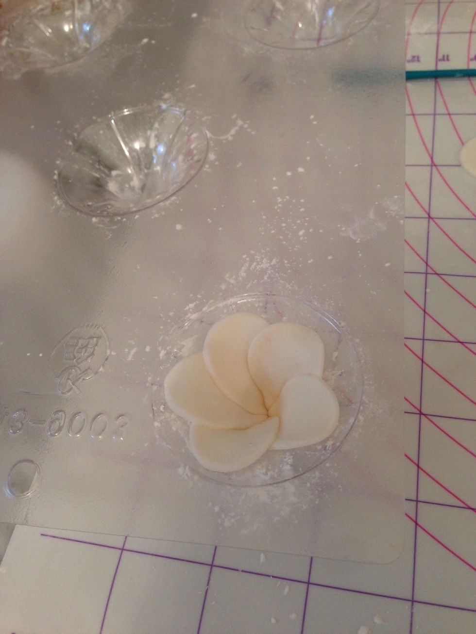 How to make tropical flower fondant - B+C Guides
