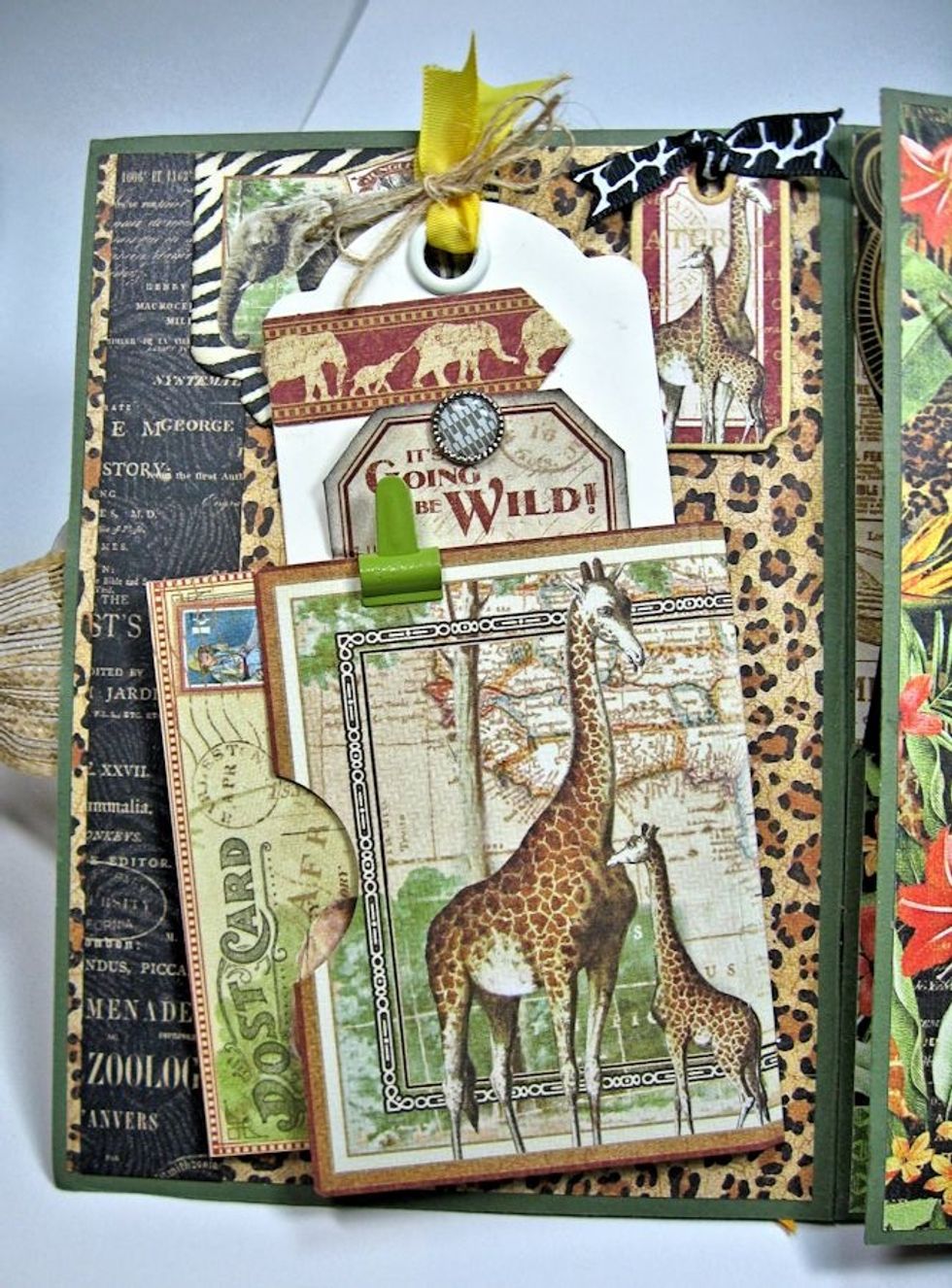 How to graphic 45 safari adventure tri-fold mini album - B+C Guides