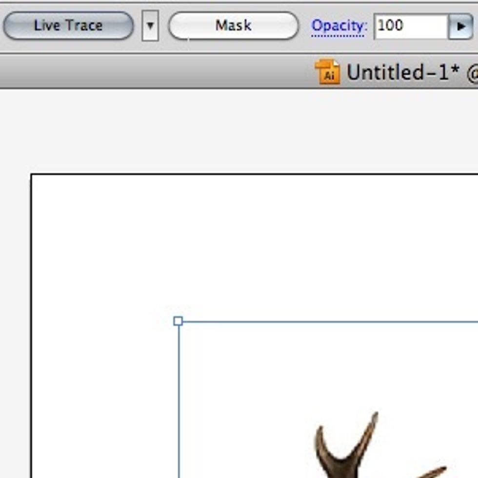 How to live trace in adobe illustrator | graphic design - B+C Guides