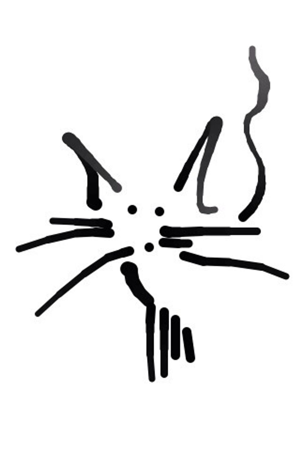 How to walk like a cat: tai chi walking for beginners - B+C Guides