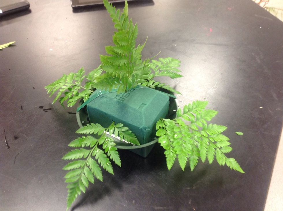 How to make a round mound arrangement - B+C Guides