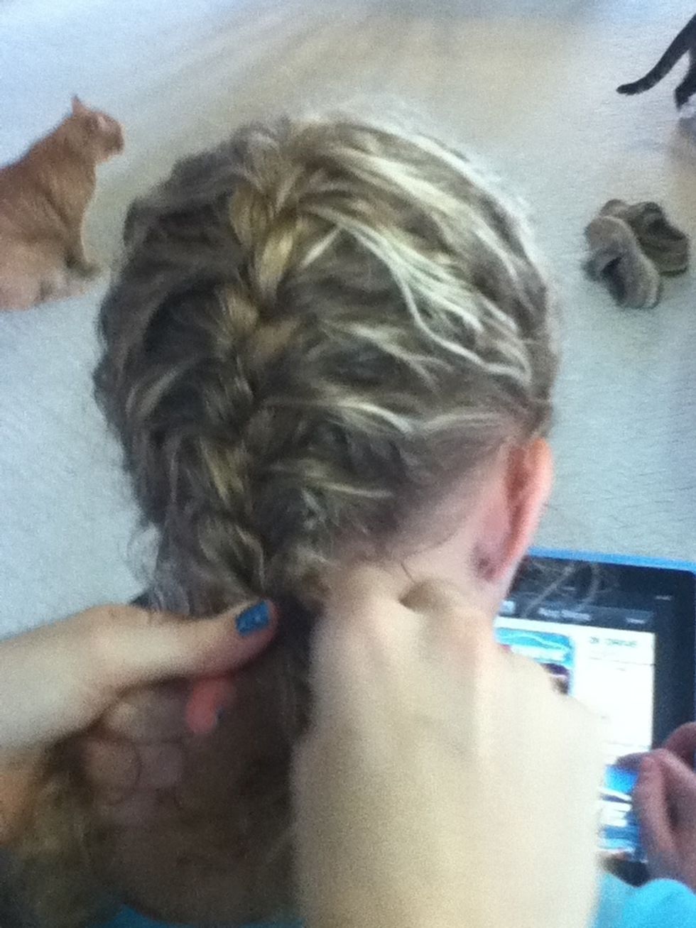 How To French Braid Curly Hair Bc Guides