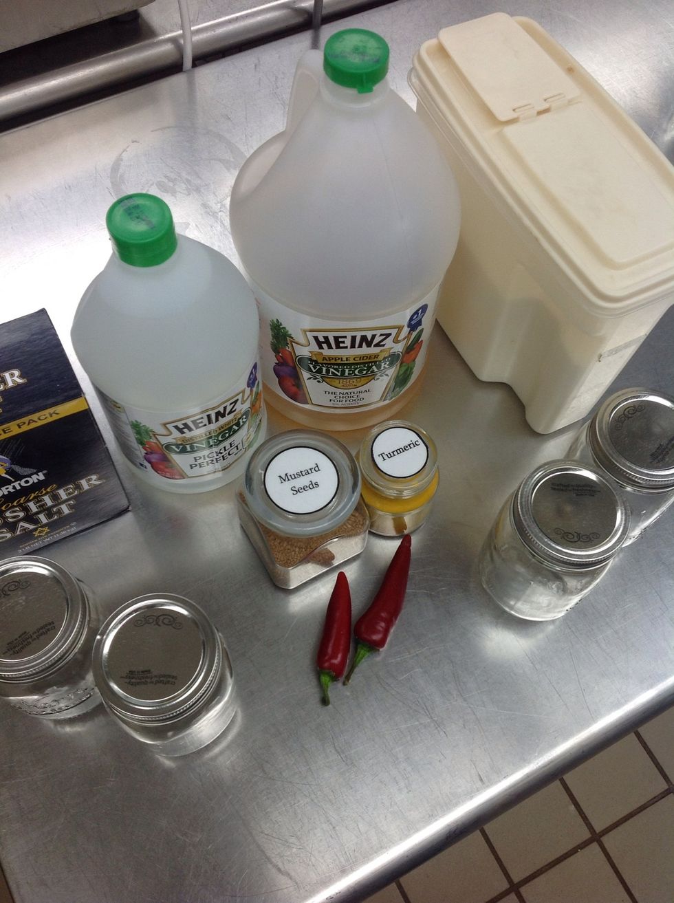 How to can pickles in a combi oven - B+C Guides