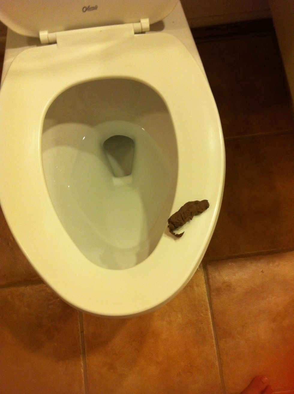 How To Make Fake Poop B C Guides How To Make Fake Poop B C Guides