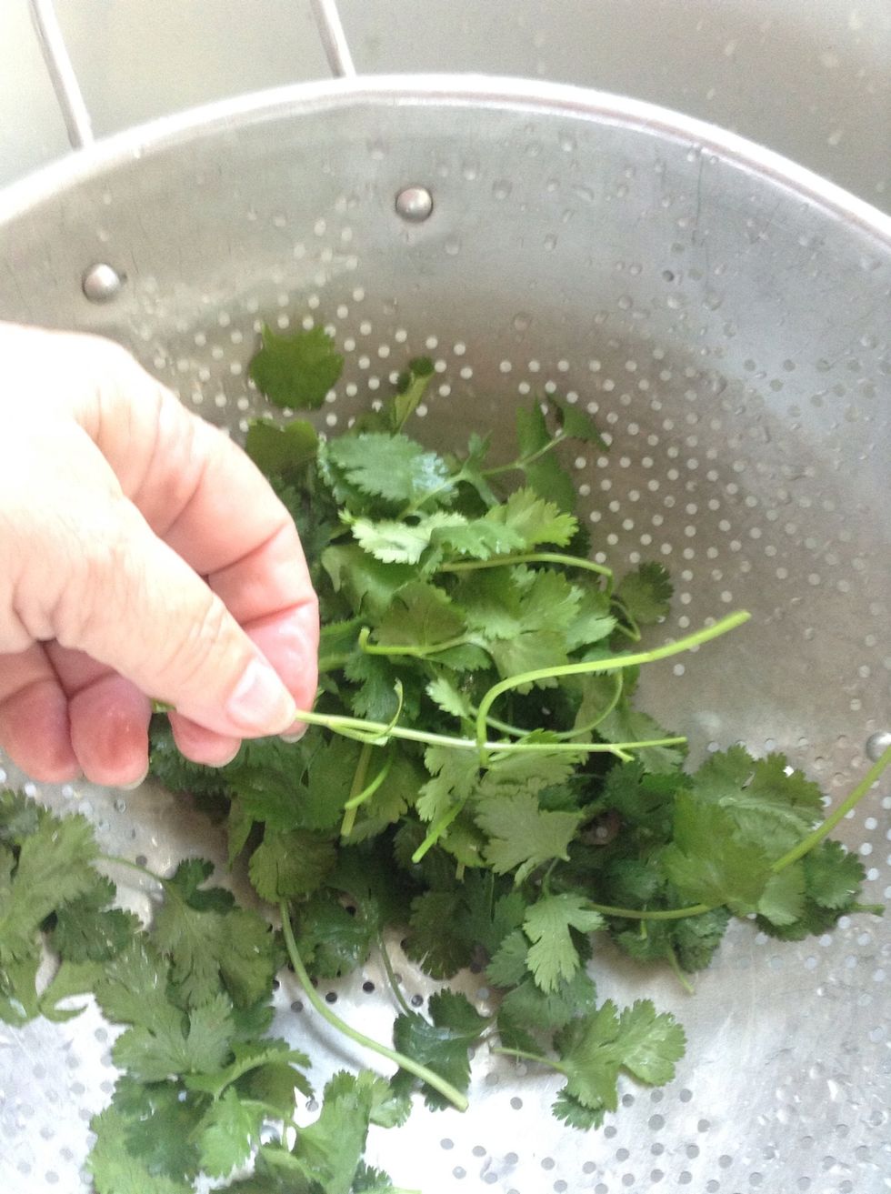 How to prepare delicious nopales (cactus) salad - B+C Guides