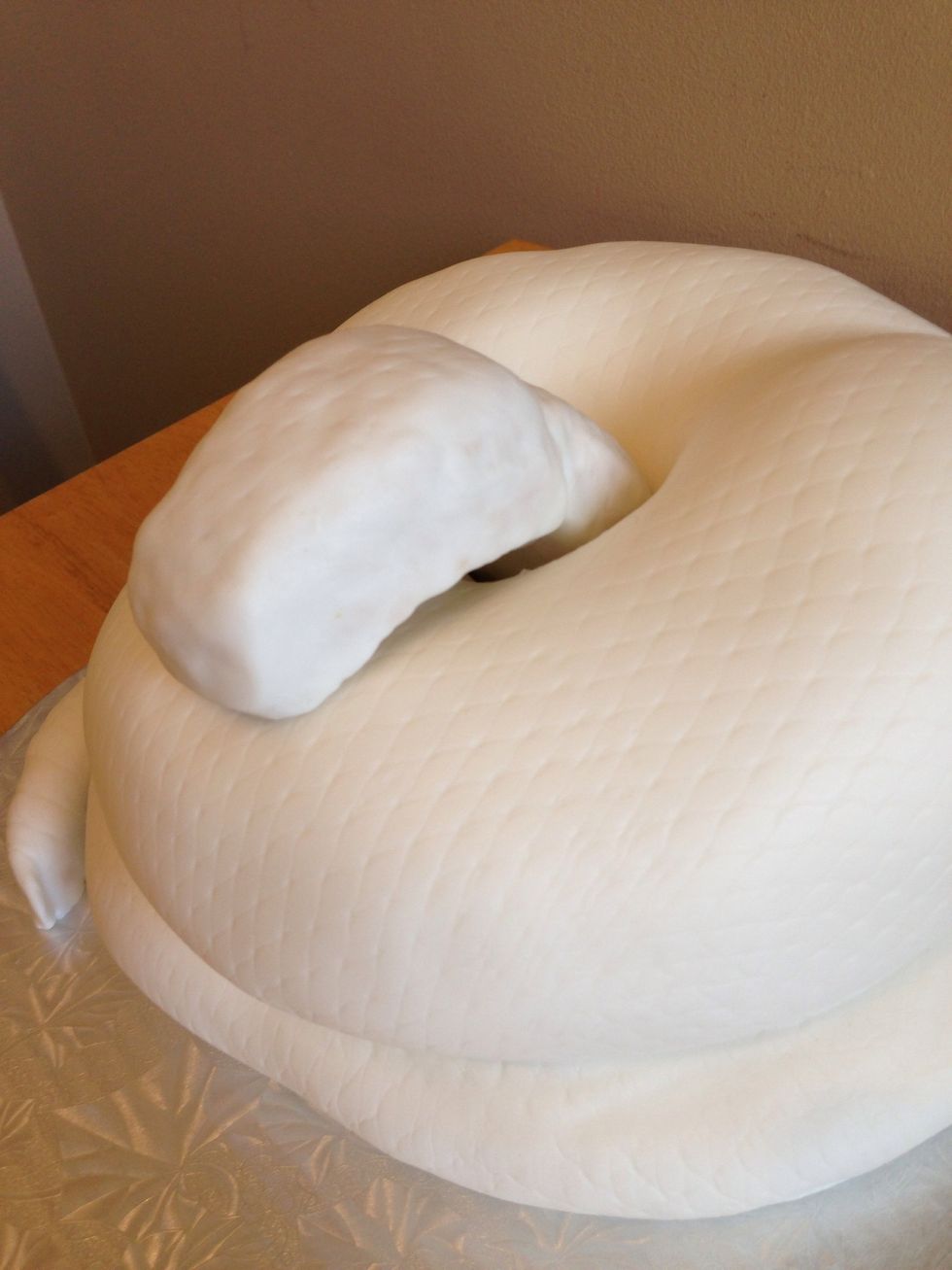 How to make a snake cake - B+C Guides