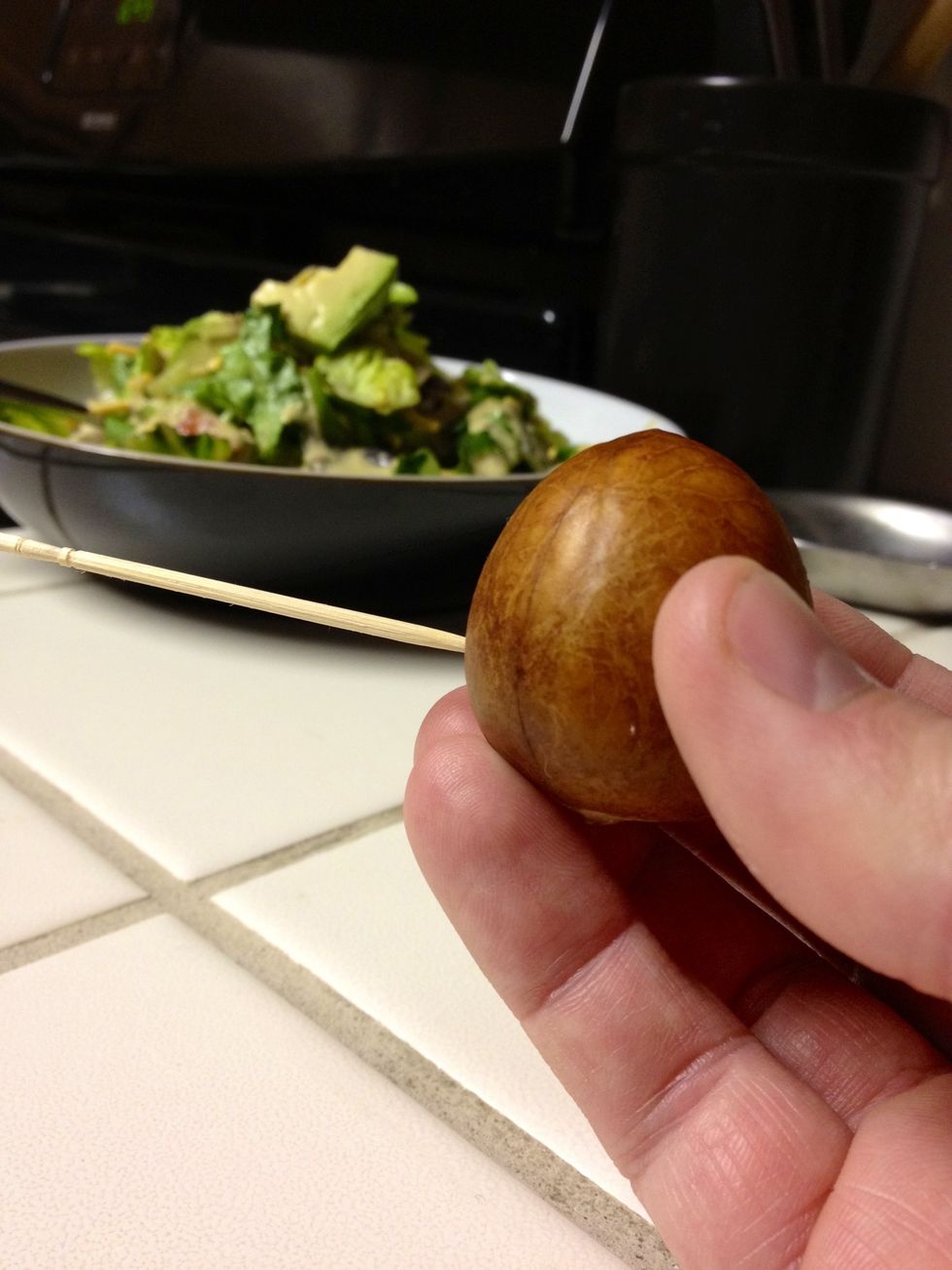 How to grow your own avocado tree - B+C Guides