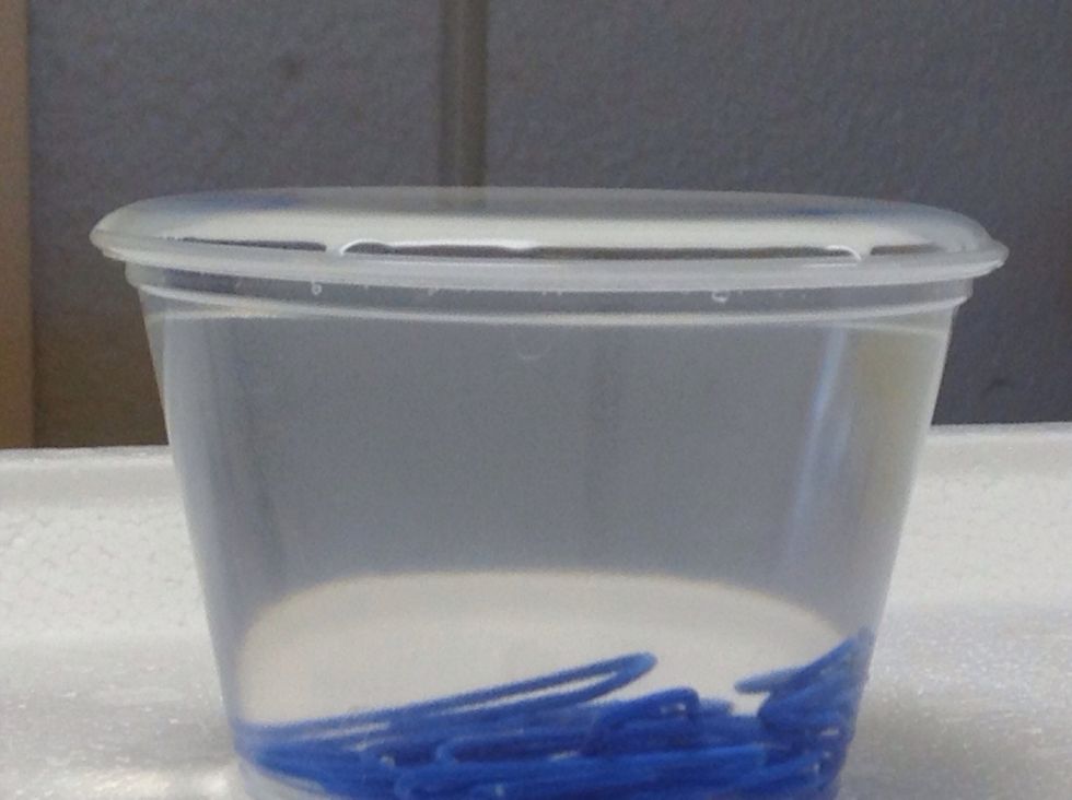 How to explore surface tension - B+C Guides