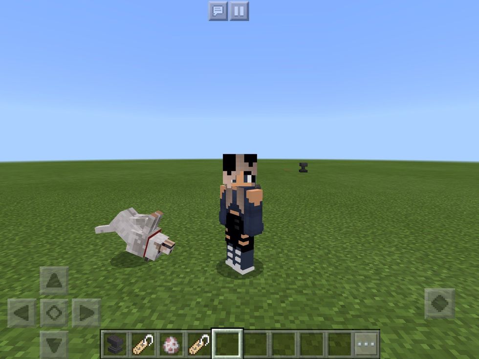 How to do name tag tricks in minecraft - B+C Guides