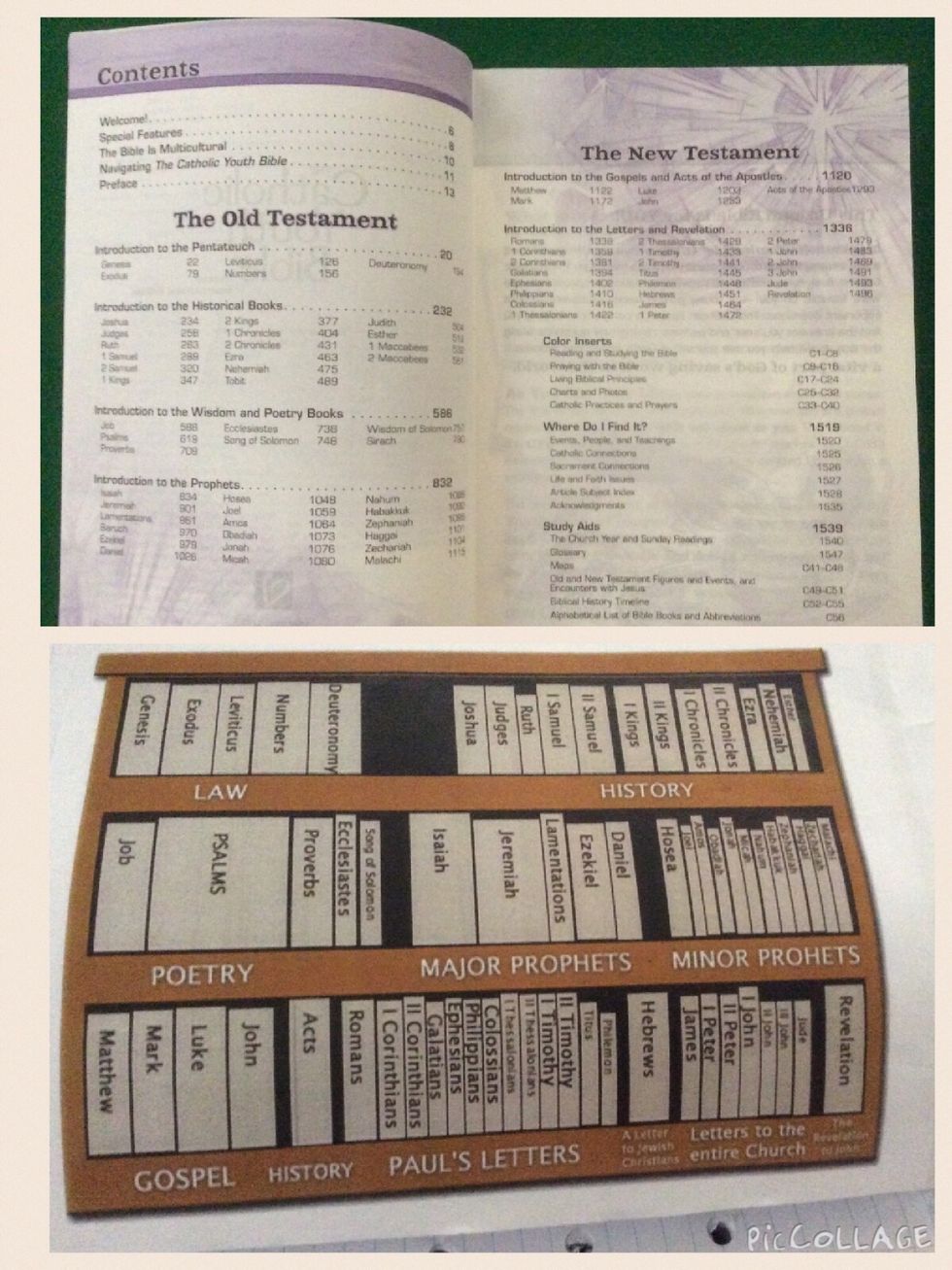 How to read and understand the bible - B+C Guides