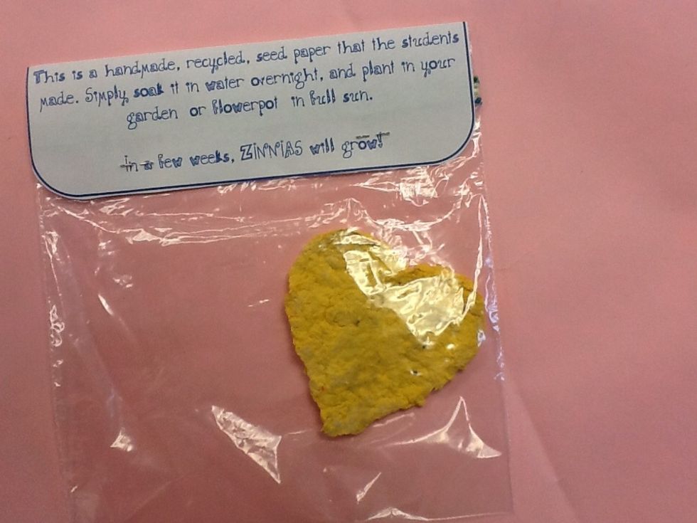 How to make seed paper with children - B+C Guides