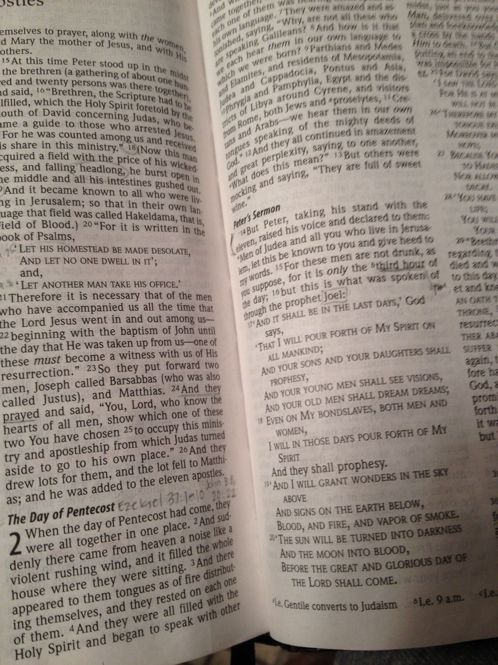 How to study the bible using the homiletics method - B+C Guides