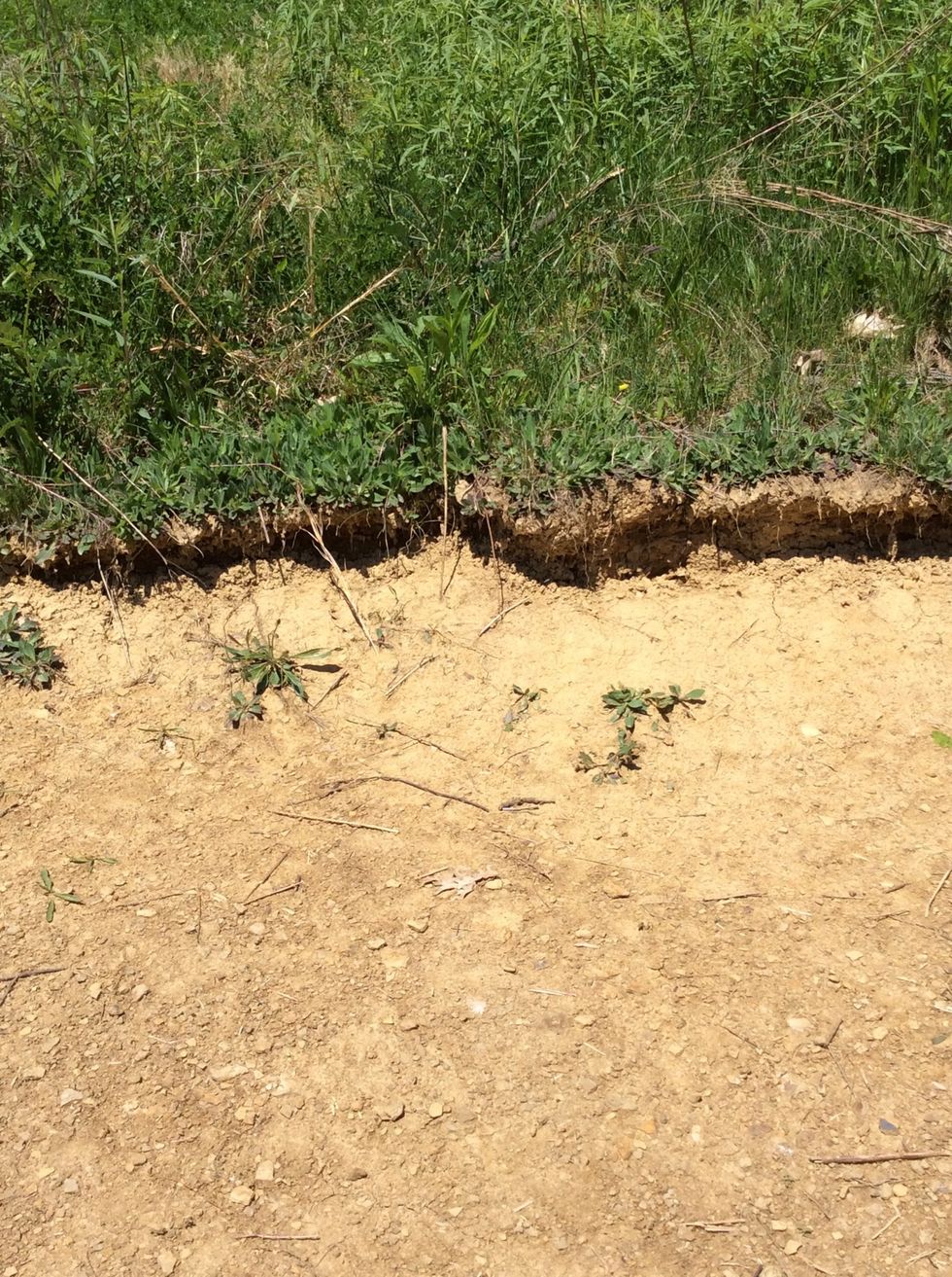 How to find erosion, deposition, and weathering. - B+C Guides