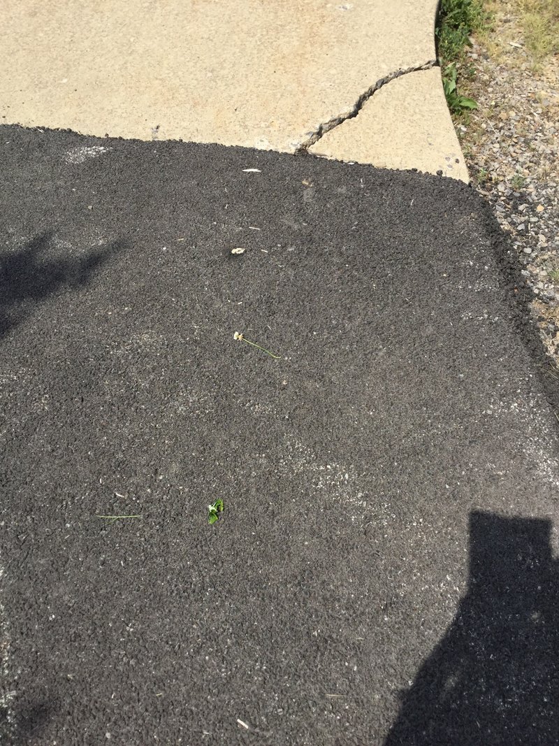 Deposition Example Compare And Contrast: Ore Deposition