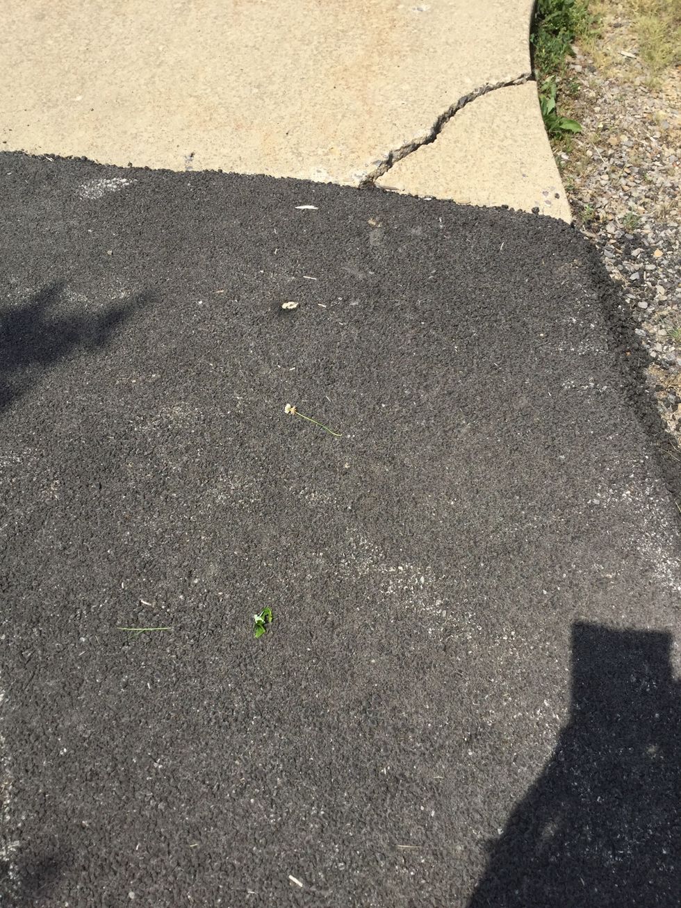 How to find erosion, deposition, and weathering. - B+C Guides