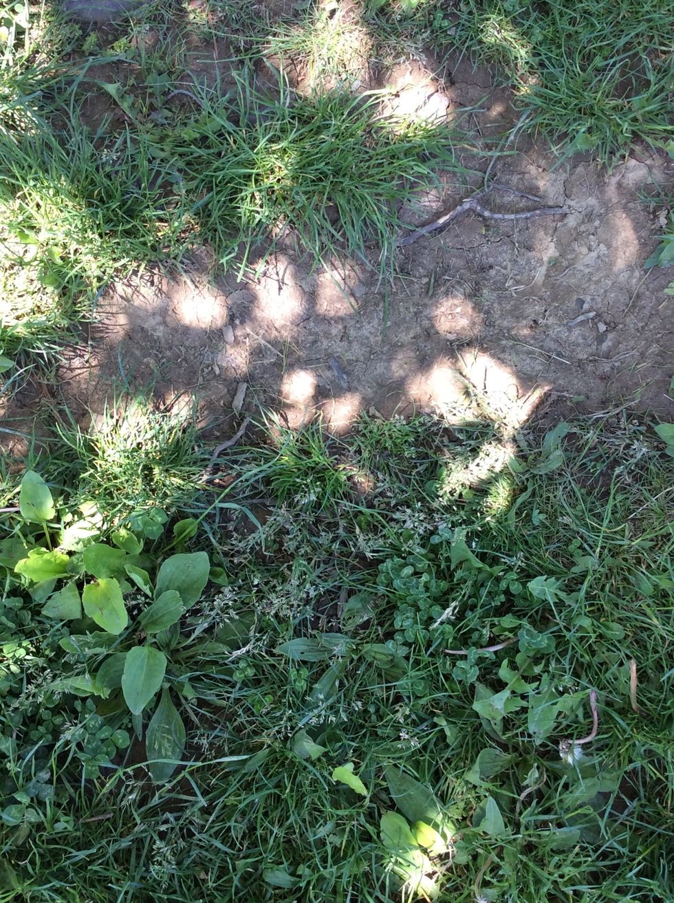 How to find erosion, deposition, and weathering. - B+C Guides