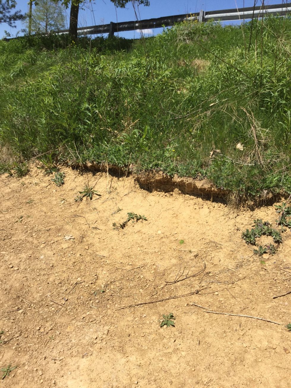 How to find erosion, deposition, and weathering. - B+C Guides