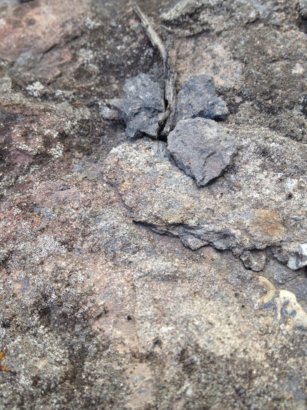 How to identify erosion, deposition, and weathering - B+C Guides