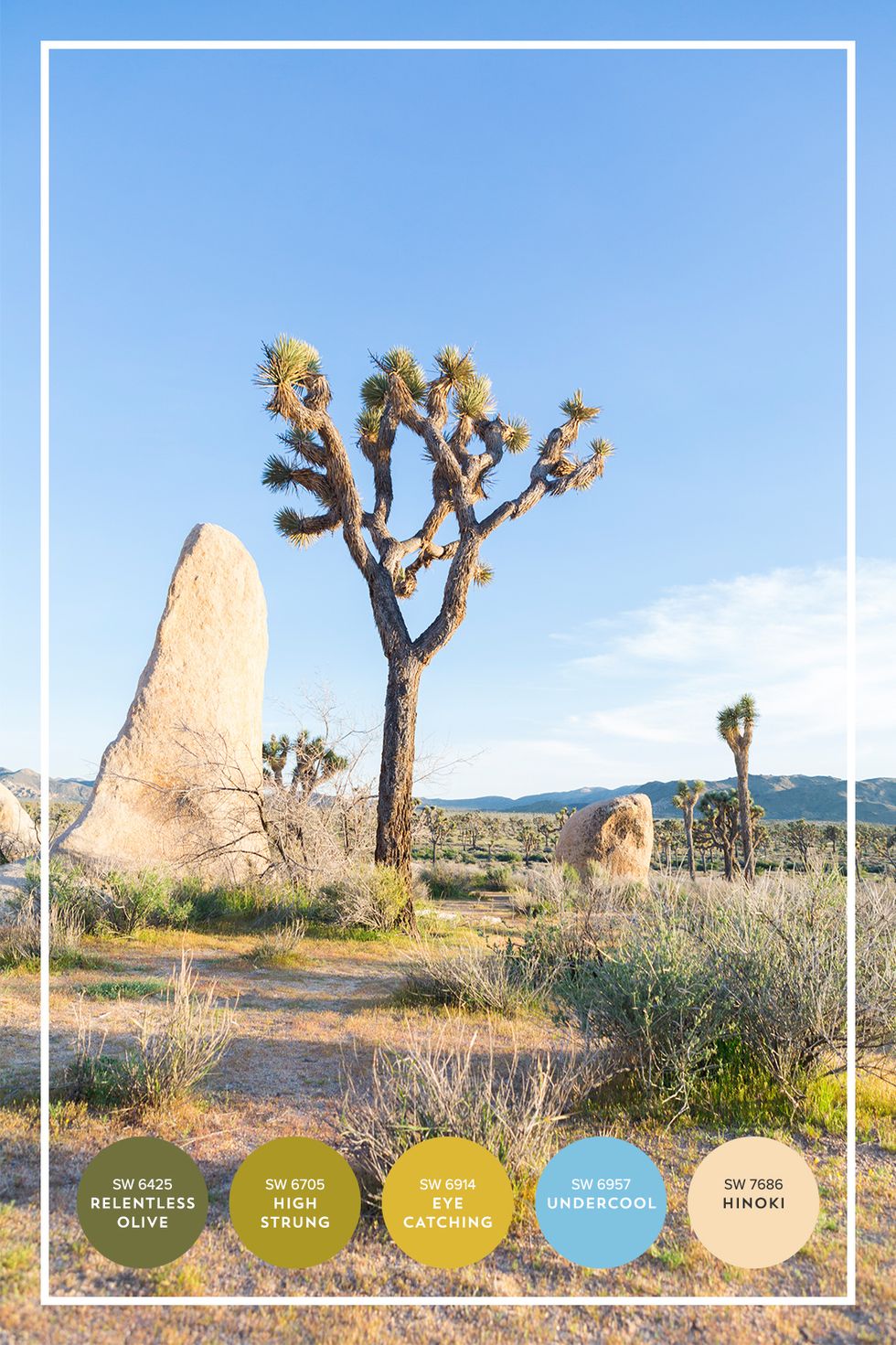 Color Guide to Palm Springs + Joshua Tree - B+C Guides