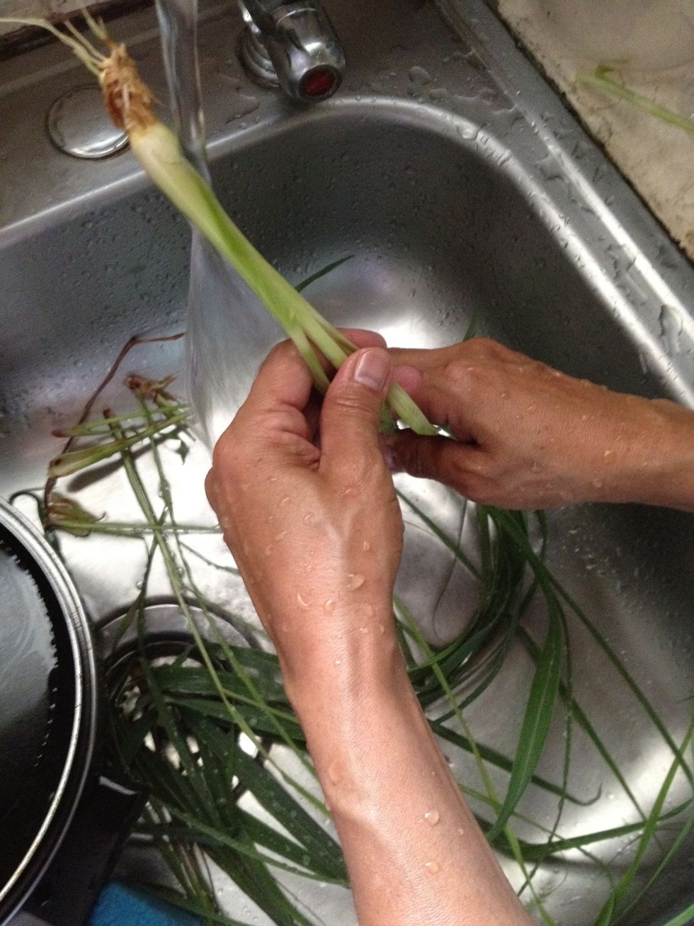 How to make ginger lemon grass tea - B+C Guides