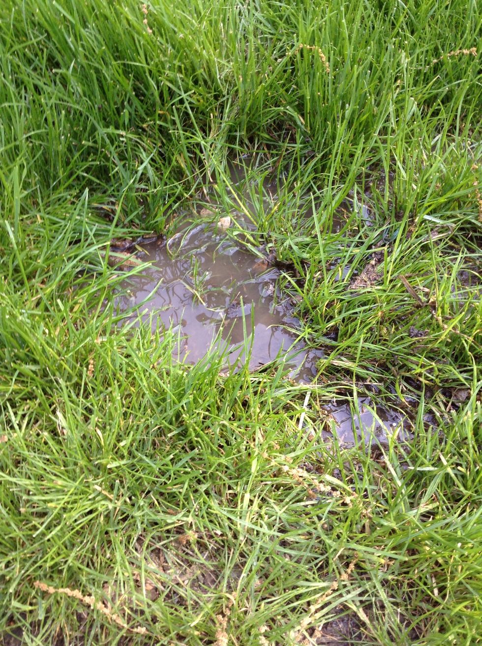 How to find erosion,deposition,and weathering - B+C Guides