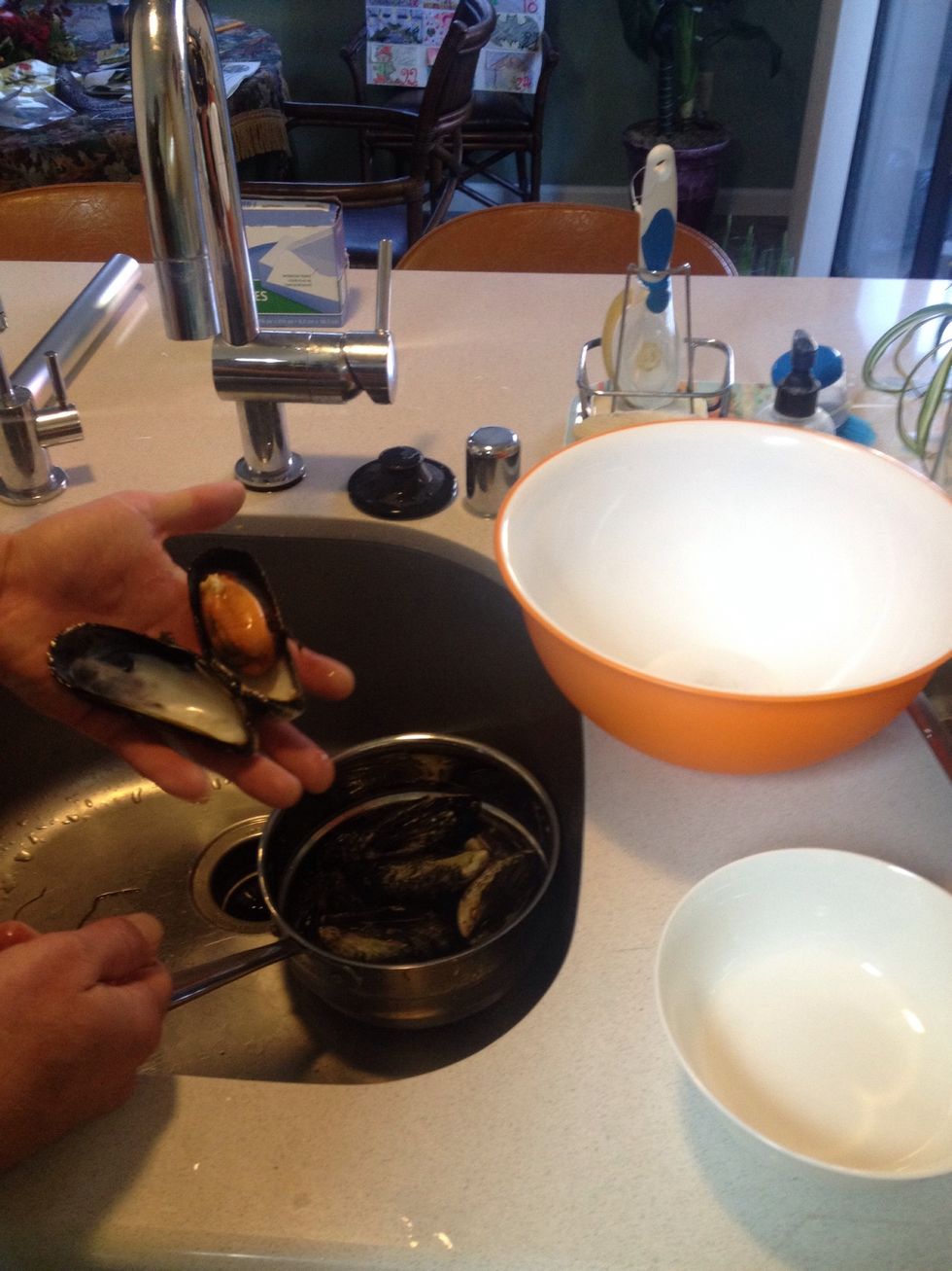How to prepare and cook wild mussels - B+C Guides